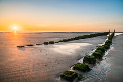 MultiSelectTreeView control – unclassified software development